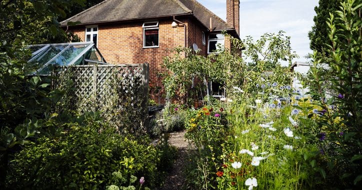 Building in your back garden | Hayes + Storr